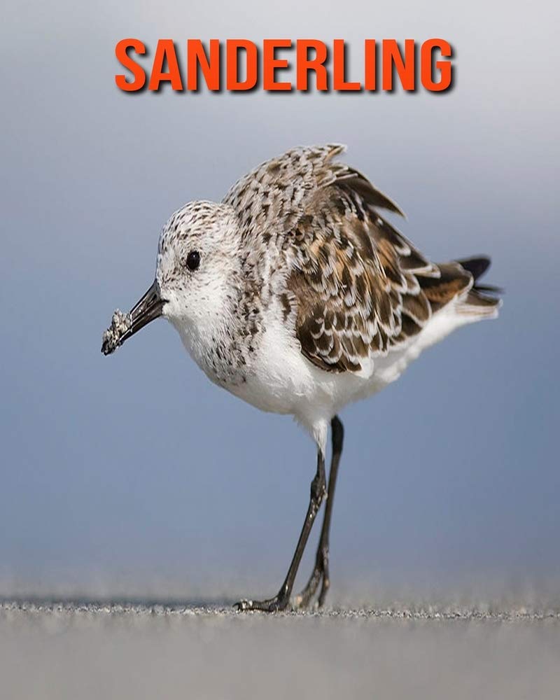 Buy Sanderling: Amazing Facts about Sanderling Online at desertcartINDIA