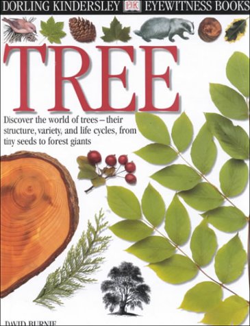 Amazon | Tree (DK Eyewitness Books) | Burnie, David | Forests & Trees