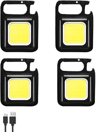 Plumflex 4PCS USB Rechargeable Flashlight Keychain LED Mini Portable ...