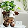 Amazon.com : glylo Highland Cow Planter Pot, 2024 Cute Highland Cow ...