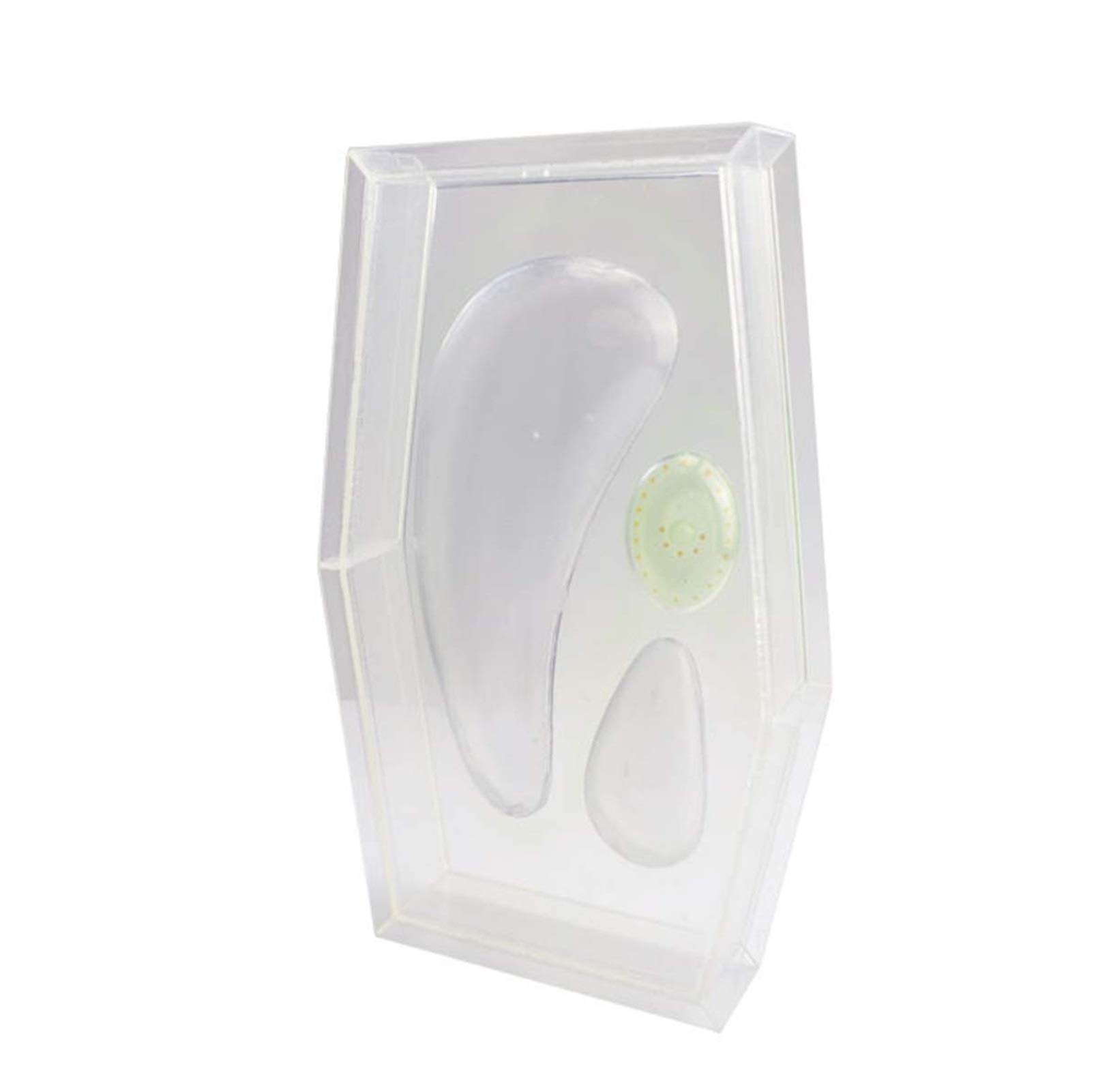 Buy Study Model Biological Cell Model - Anatomical Cell Structure Model ...