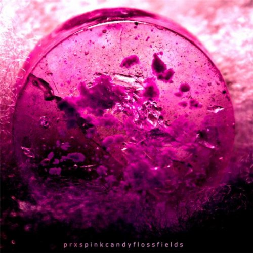 Amazon.com: Pinky Candy Floss Field : Prxs: Digital Music
