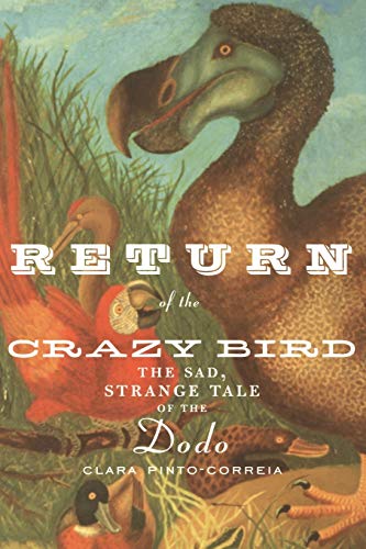 Crazy Bird – Die 16 besten Produkte im Vergleich - Haustierratgeber ...