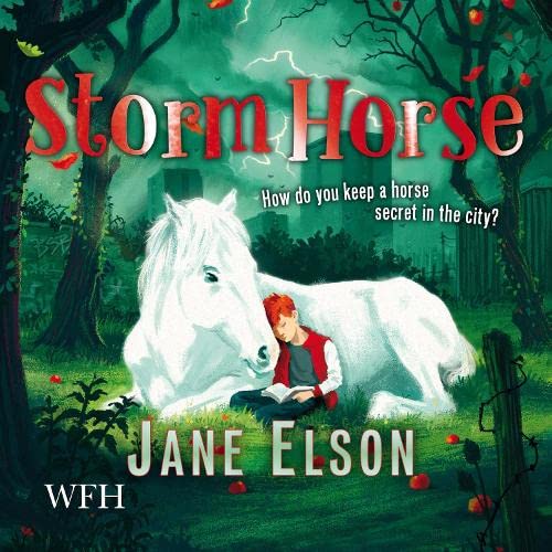 Storm Horse: Amazon.co.uk: Elson, Jane, Ajao, Michael: 9781004056361: Books