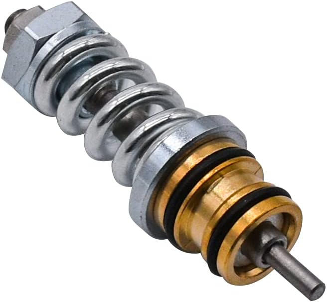 Amazon.com: Rebuiman 310924003 Unloader Valve kit Fit for Coleman ...