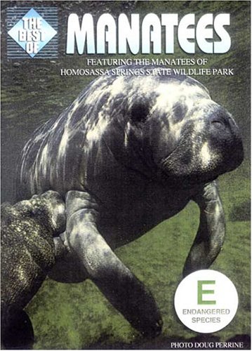 Amazon.com: The Best of: Manatees : Movies & TV
