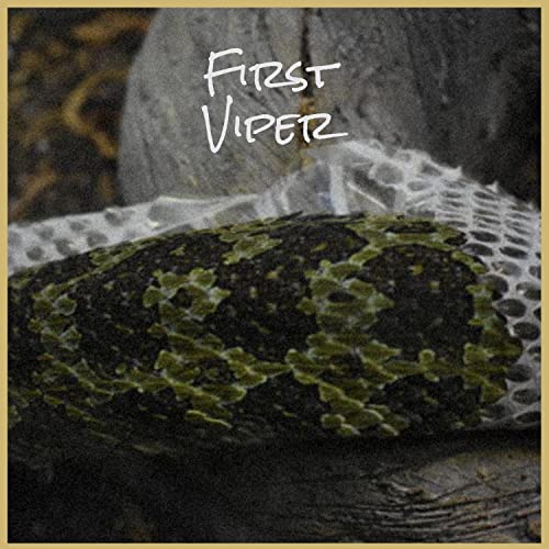 Play First Viper by VARIOUS ARTISTS on Amazon Music