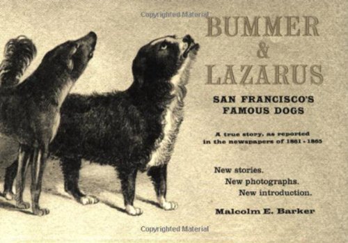 Bummer & Lazarus: San Francisco's Famous Dogs eBook : Barker, Malcolm E ...
