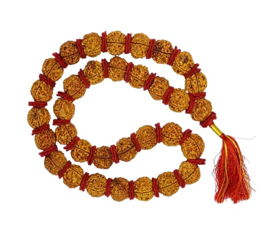 Optimus RUDRAKSHA Kantha Mala 5 Mukhi Nepali Rudraksha Original ...