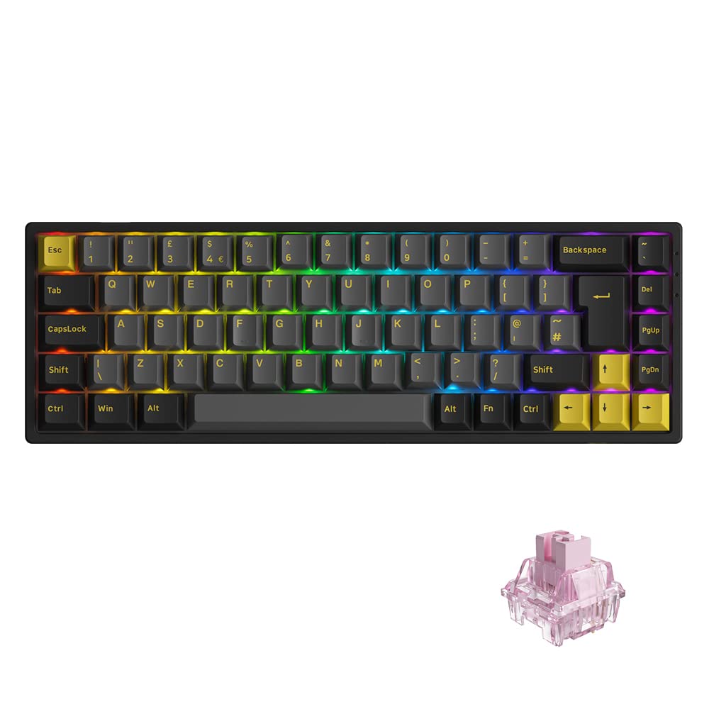 Buy Akko3068B Plus RGB Mechanical Gaming Keyboard, Multi Modes (BT5.0/2 ...