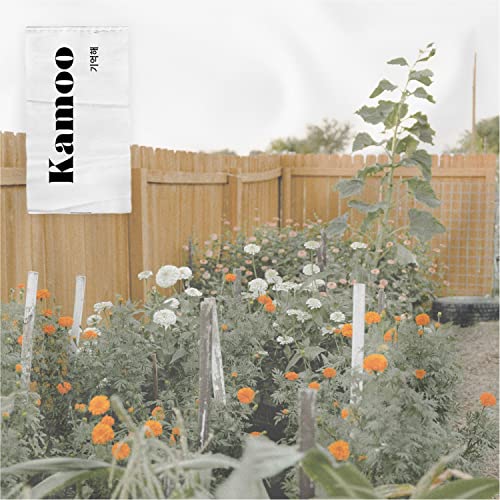 Amazon Music - Kamooの기억해 - Amazon.co.jp