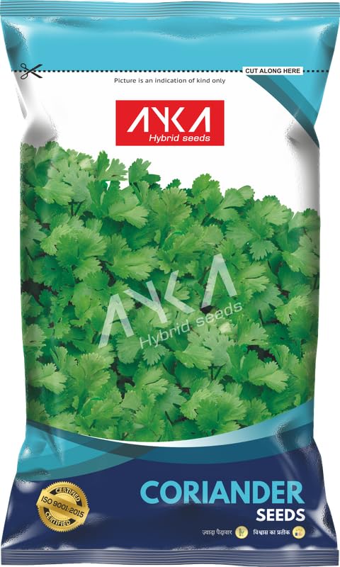 EXCEL OVERSEAS Coriander Seeds Farm Fresh and Nutrient-Packed Vegetable ...