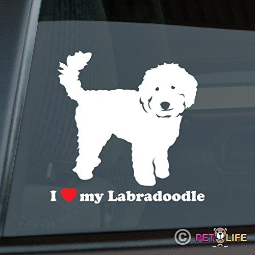 I Love My Labradoodle Sticker Vinyl Auto Window v2 doodle : Amazon.in ...
