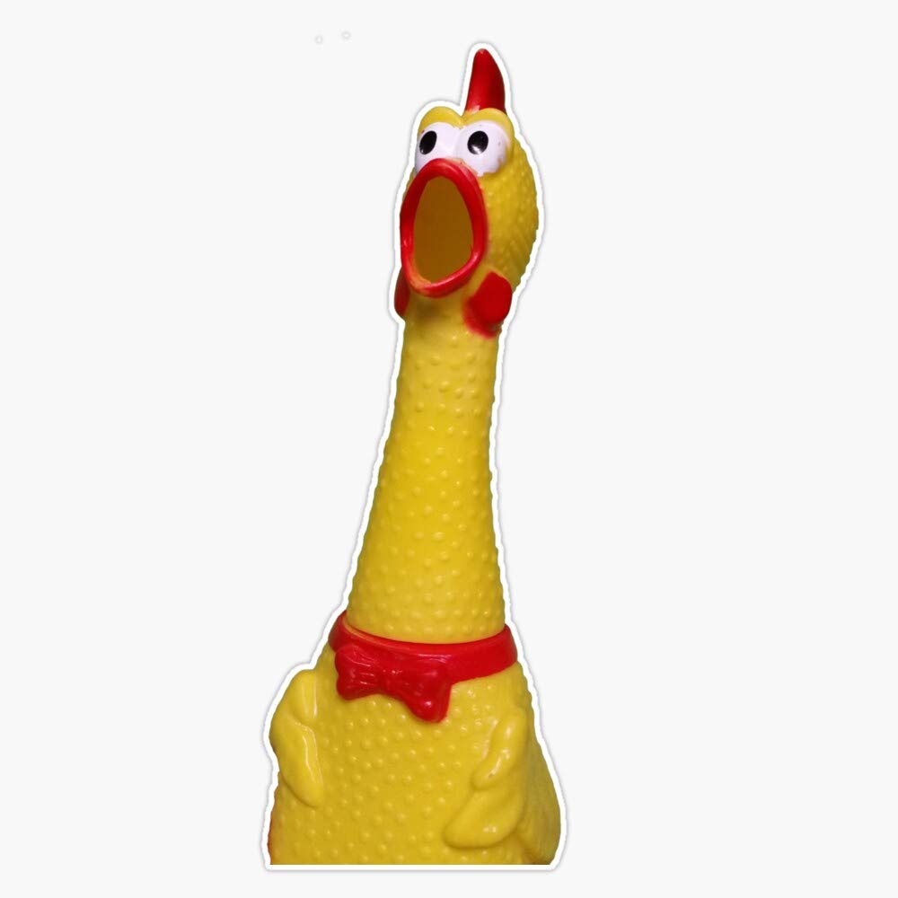 Amazon.com - Rubber Chicken Sticker Vinyl Bumper Sticker Decal ...