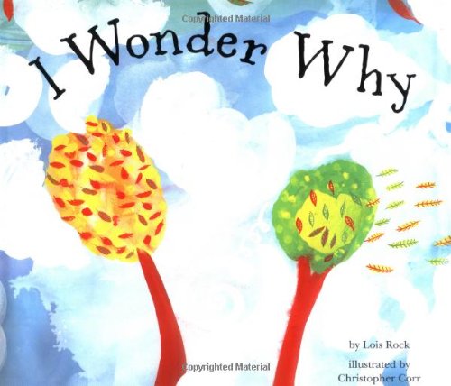 I Wonder Why: Rock, Lois, Corr, Christopher: 9780811831697: Amazon.com ...