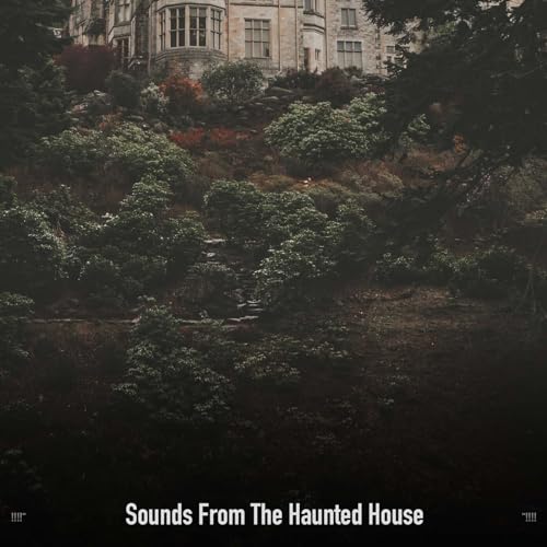 Amazon.com: !!!!" Sounds From The Haunted House "!!!! : Halloween music ...
