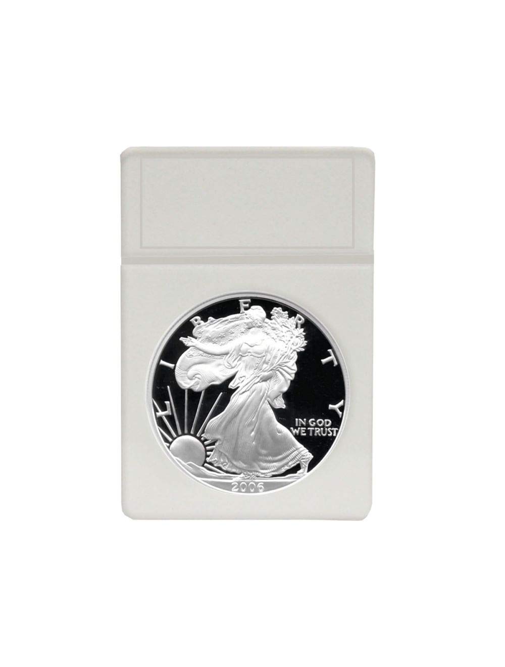 Amazon.com: BCW Coin Display Slab Inserts - Eagle | 25 Pack Slab ...