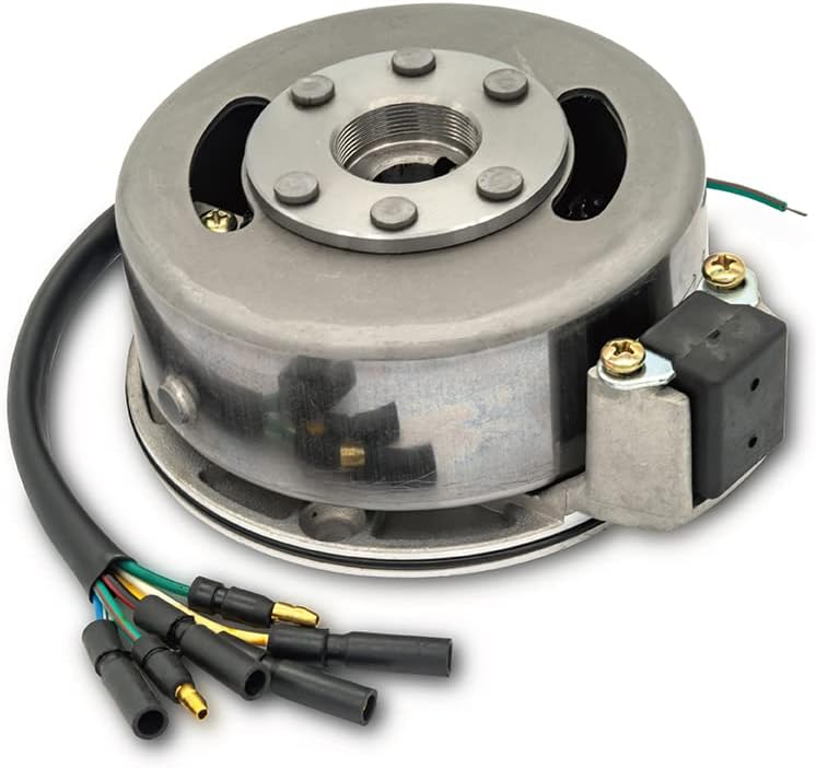 Amazon.com: 2 Coil Ignition Magneto Stator Flywheel Rotor Kit ATV ...