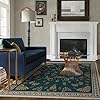 Amazon.com: RUGGABLE x Iris Apfel Machine Washable Modern Area Rug ...
