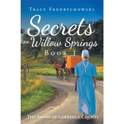 Amazon.com: Secrets of Willow Springs - Book 2: An Amish Christian Book (Audible Audio Edition ...
