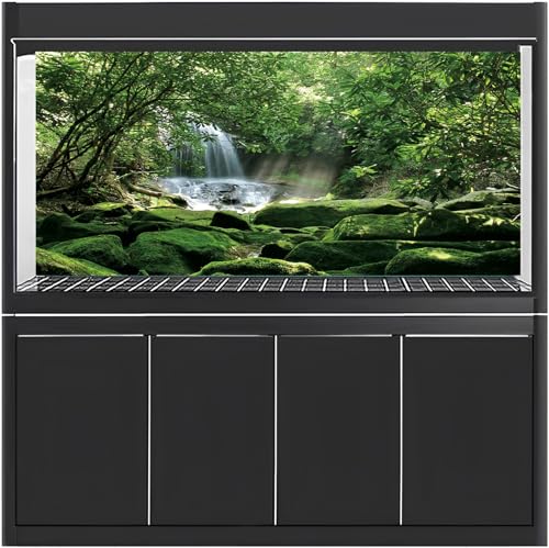 MIRRORANG 61x30cm Forest Terrarium Background Tropical Rainforest ...