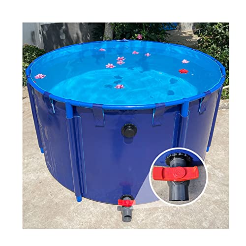 Amazon Best Sellers: Best Framed Swimming Pools