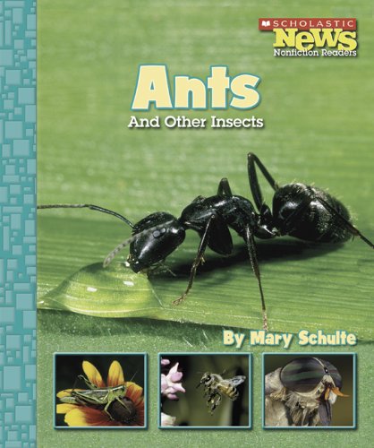 Ants And Other Insects (Scholastic News Nonfiction Readers): Mary ...