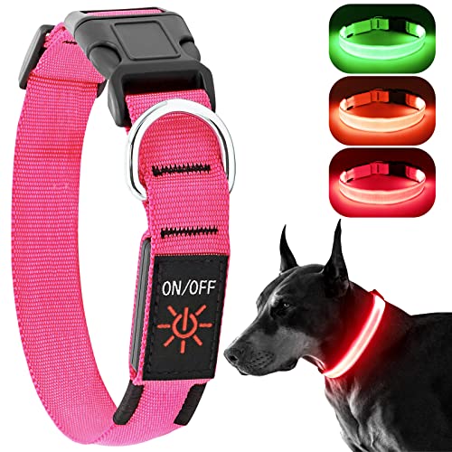 Son Seguros Los Collares De Perro Led