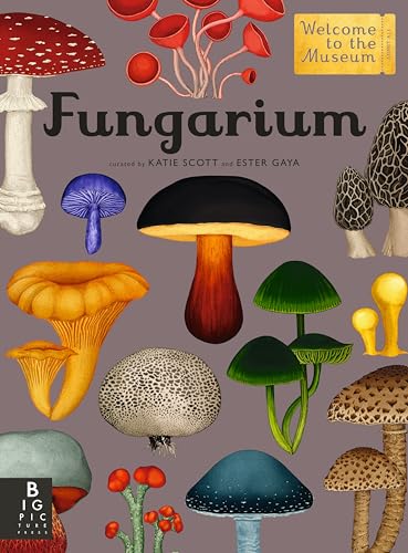 The Best Selection of Fungi Books for Kids Nature Study