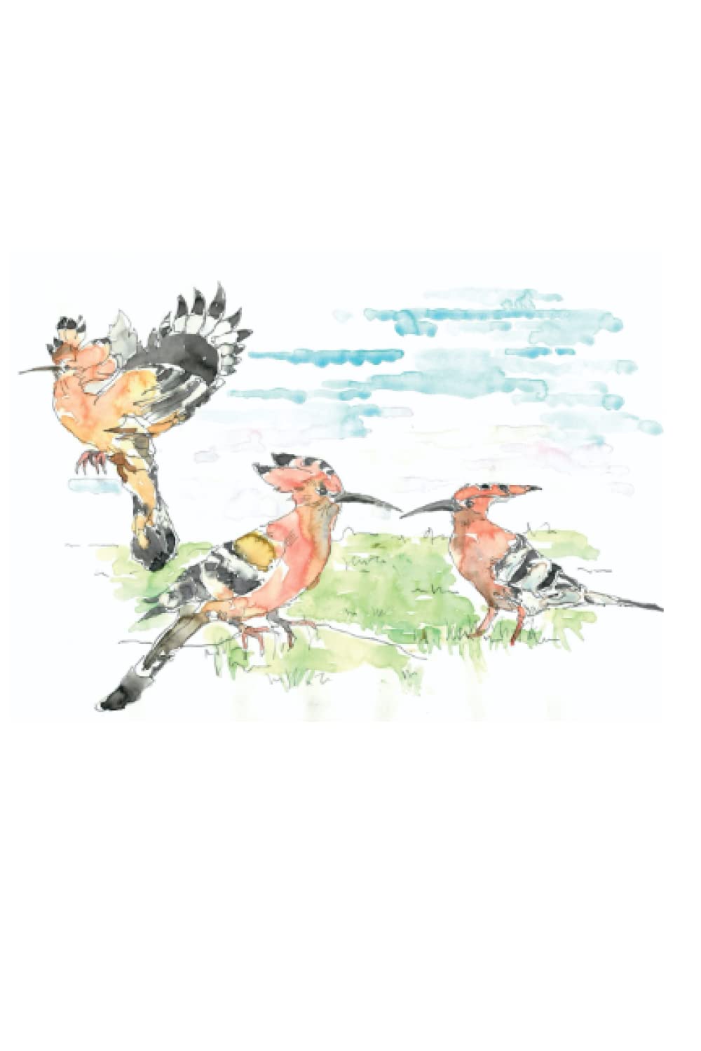The Wee Sparrow Poetry Press Notebooks Hoopoes: Poetry Press, The Wee ...