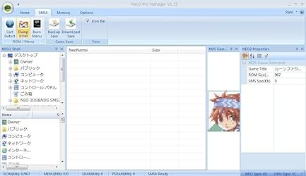 Amazon | ★スピード6倍アップ ★NDS SMS4 (エスエムエス4) DSソフトからPCへセーブデータのバックアップ | ゲーム機本体