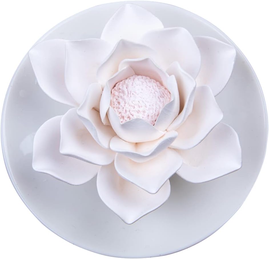 Ceramic Diffuser Non Electric at Mark Cox blog