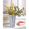 Amazon.com: 12 Inch Galvanized Metal Vases with Handles - 2 Pcs ...