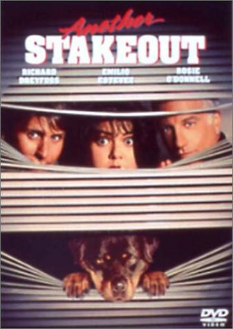 Another Stakeout [93/Scope/E, d: Amazon.it: Film e TV