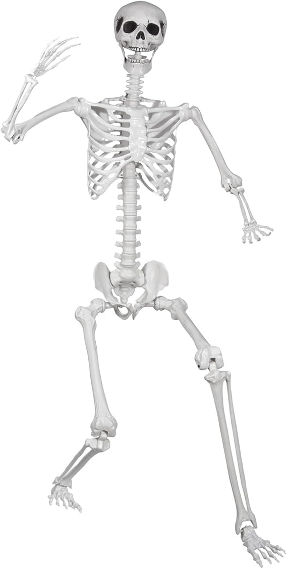 Amazon.com : LaLamona 6ft/185cm Posable Halloween Skeleton, Life Size ...