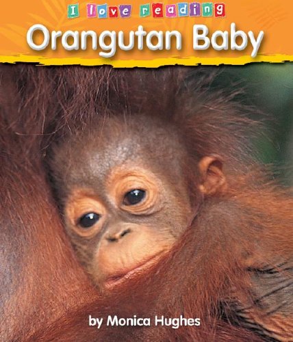 Amazon.com: Orangutan Baby (i Love Reading): 9781597161534: Hughes ...