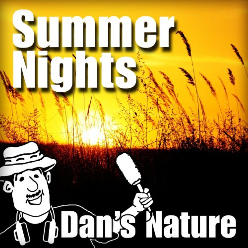 Play Summer Nights (Nature Sounds) by Dan's Nature on Amazon Music