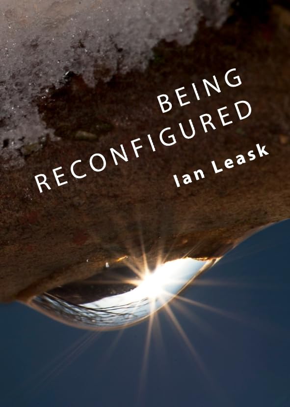 Being Reconfigured: Ian Leask with Eoin Cassidy: 9781443825511: Amazon ...