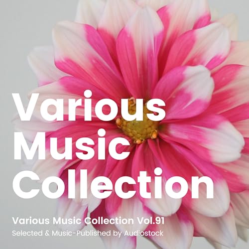 Amazon Music - VARIOUS ARTISTSのVarious Music Collection Vol.91 ...