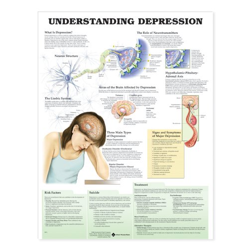 Understanding Depression Anatomical Chart: Anatomical Chart Com ...