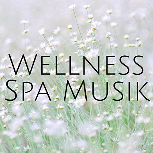 Amazon.com: Wellness Spa Musik - Entspannungsmusik für Ruhe, Emotionale ...