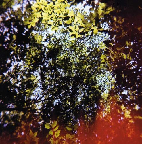 Hisato Higuchi - Butterfly Horse Street - Amazon.com Music