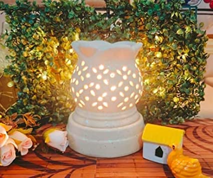 NIYARA Ceramic Electric Aroma Diffuser White Color with 10 ML Aroma Oil ...