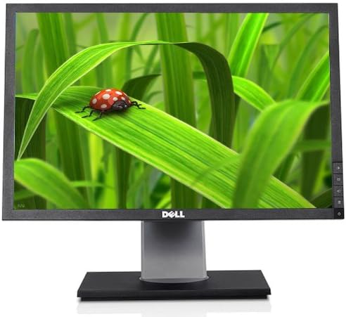 Dell 1909W 19" WideScreen Screen 1440 x 900 Resolution LCD Flat Panel ...