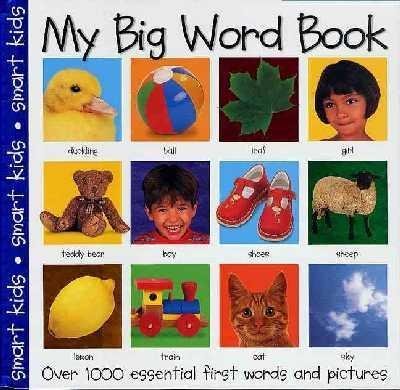 My Big Word Book [SMART KIDS MY BIG WORD BK]: Roger(Author) Priddy ...
