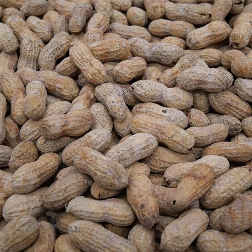 Amazon.com : Hampton Farms - Jumbo Raw Natural In-Shell Peanuts - Great ...