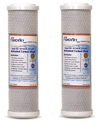 Buy Puroflo Activated Carbon Block Water Filter, Standard 10 Inches ...