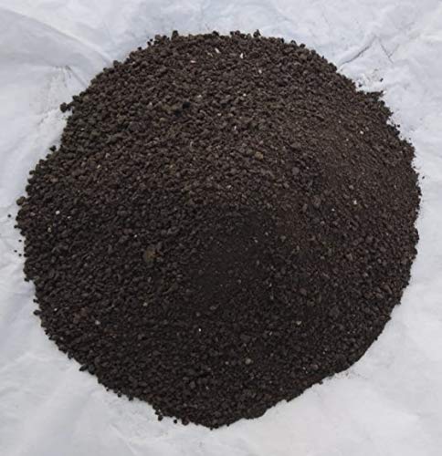 Buy maruti orgenic Kali mitti Online at Low Prices in India - Amazon.in