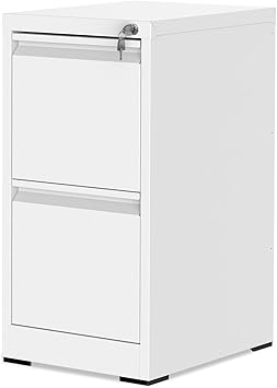 Amazon.com: RICHRYCE 2 Drawer File Cabinet with Lock, Vertical Metal ...