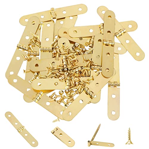 Die 16 besten Mini-Scharniere - Schwerlastregal